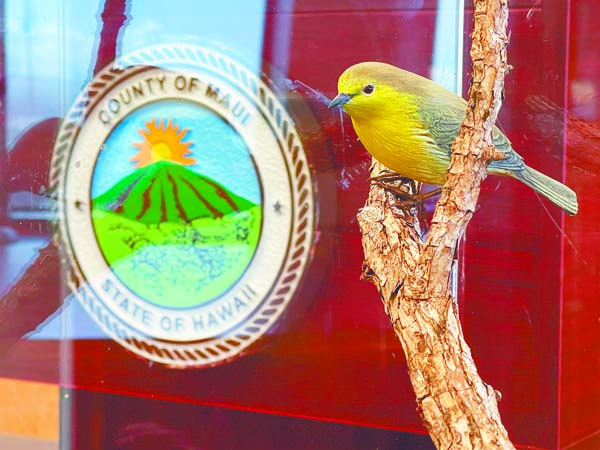Mayor signs year of the forest birds proclamation | News, Sports, Jobs ...